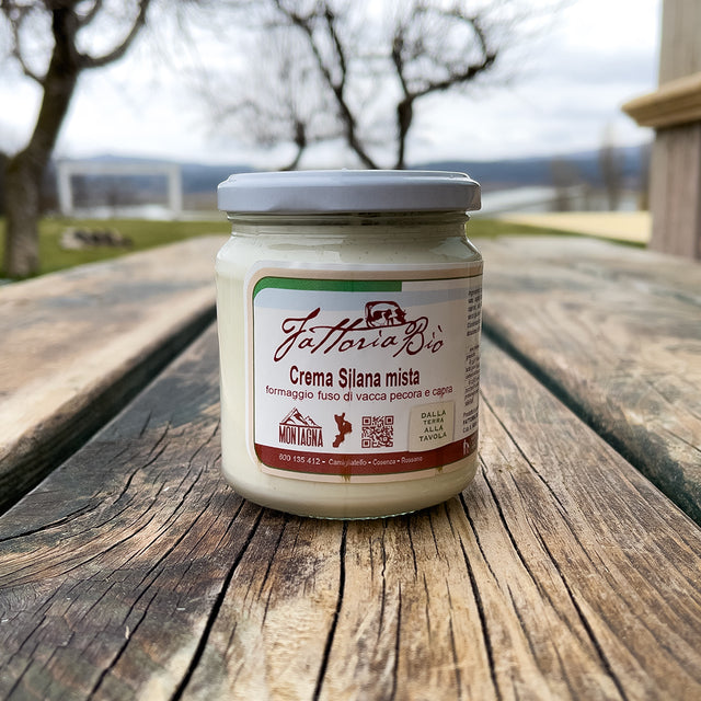 Classic mixed silane cream – Fattoria Biò